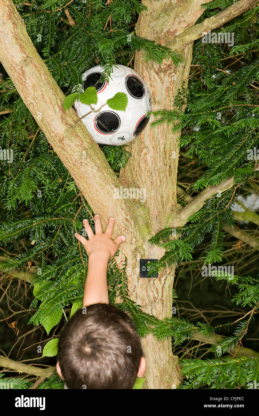 Child ball stuck tree hi-res stock photography and images - Alamy