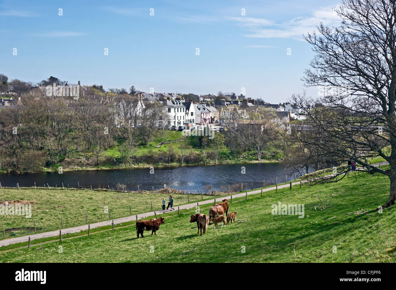 View towards Highland town Helmsdale from the south side of River ...