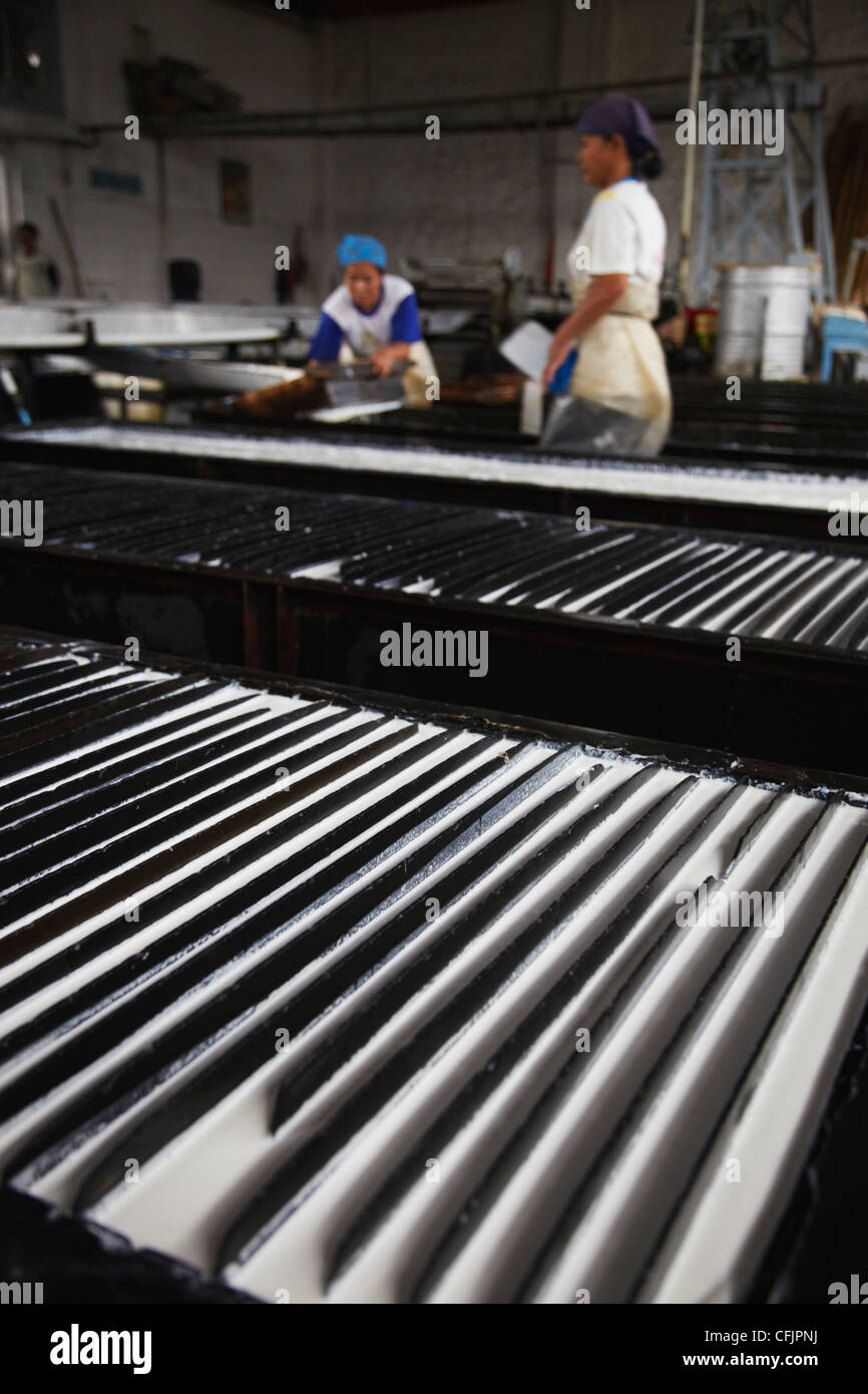 Rubber making process, Kalitakir Plantation, Kalibaru, Java, Indonesia ...