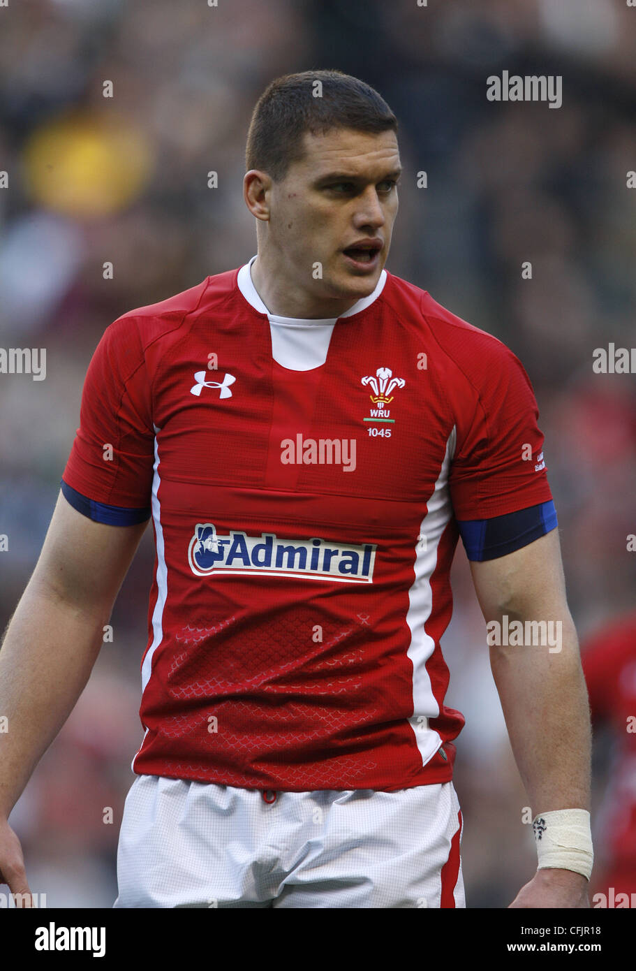Ian evans ospreys hi-res stock photography and images - Alamy