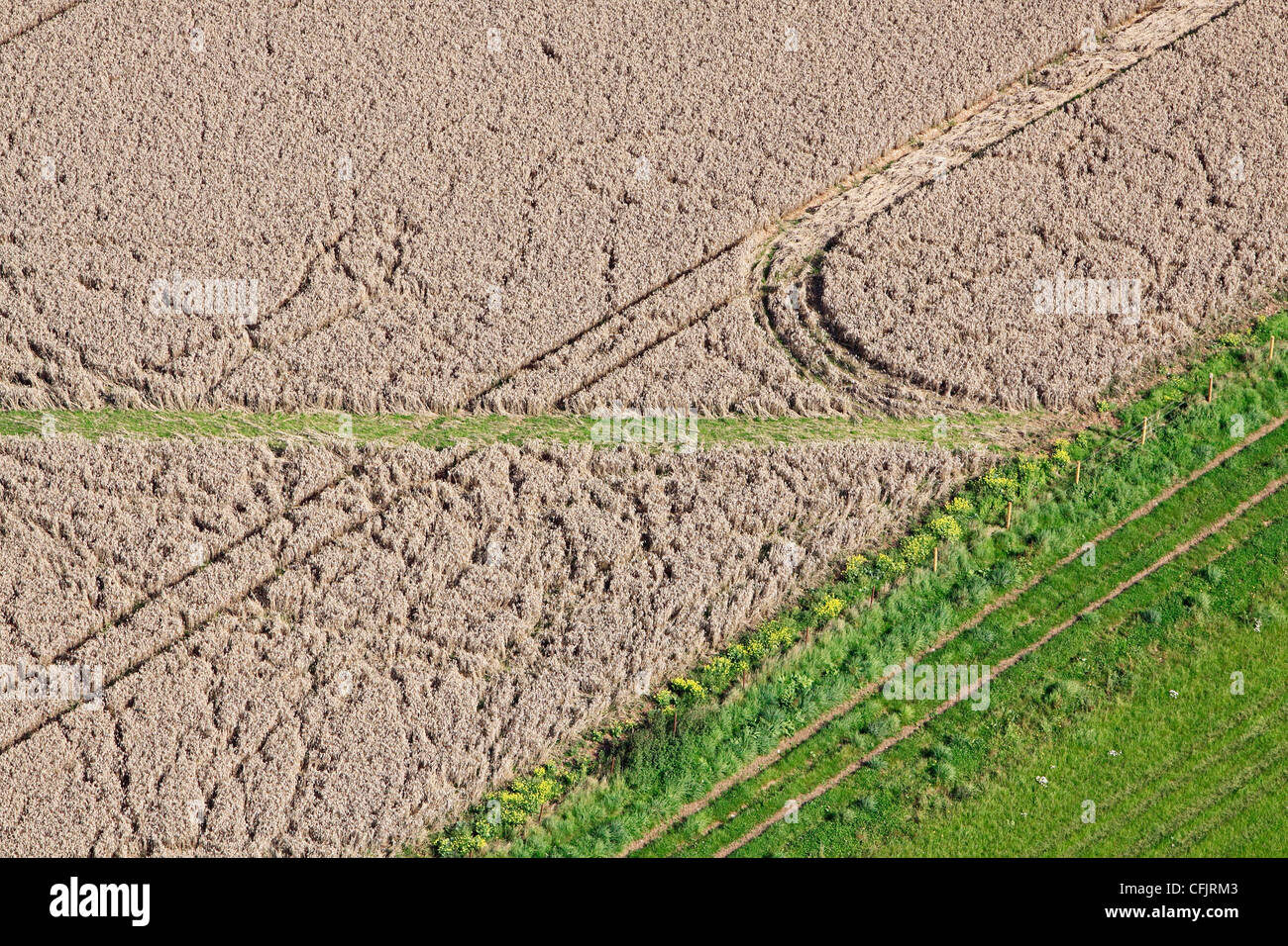 Field tramlines hi-res stock photography and images - Alamy