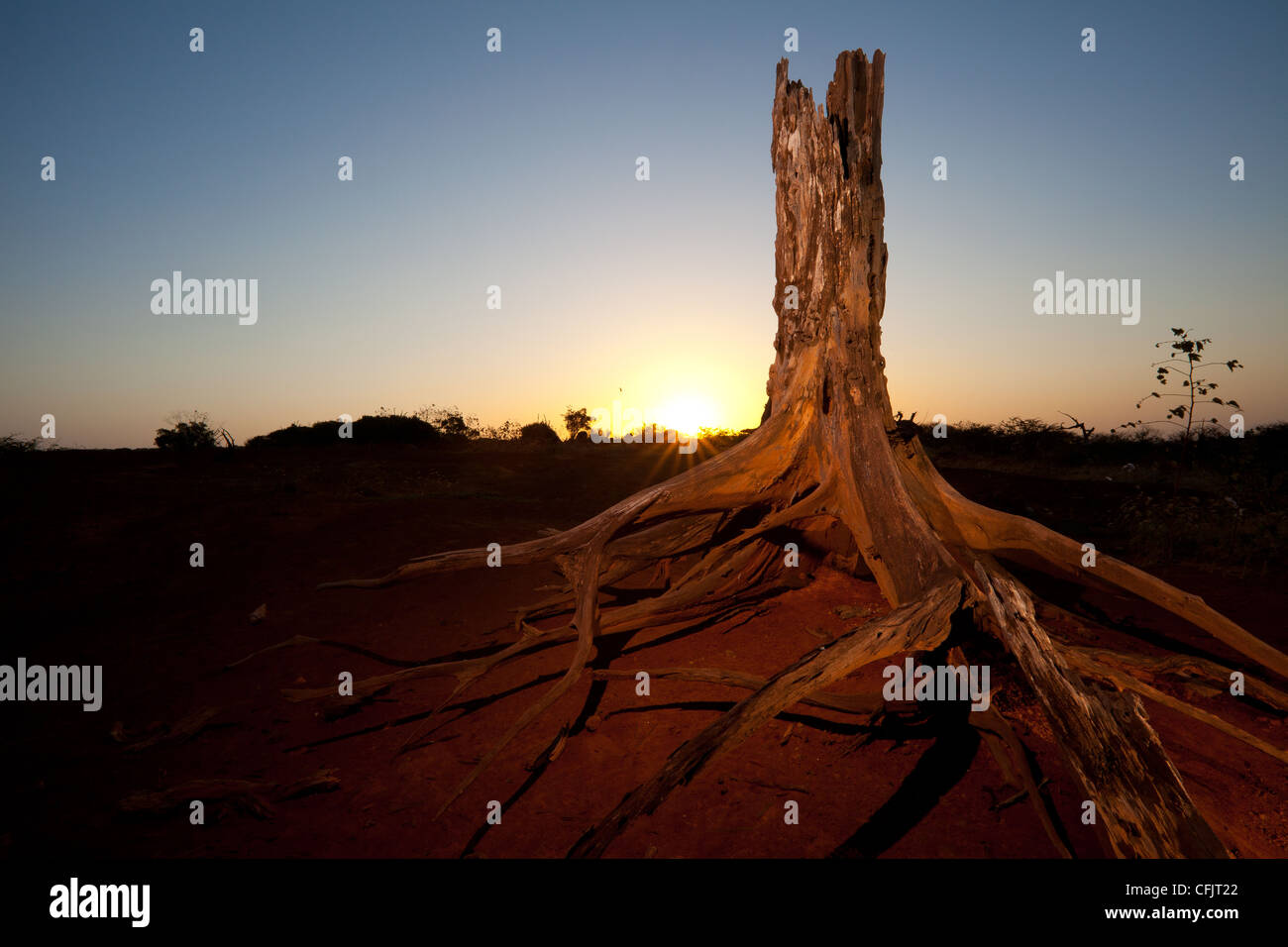 Sunrise in Sarigua national park (desert) in Herrera province, Republic ...