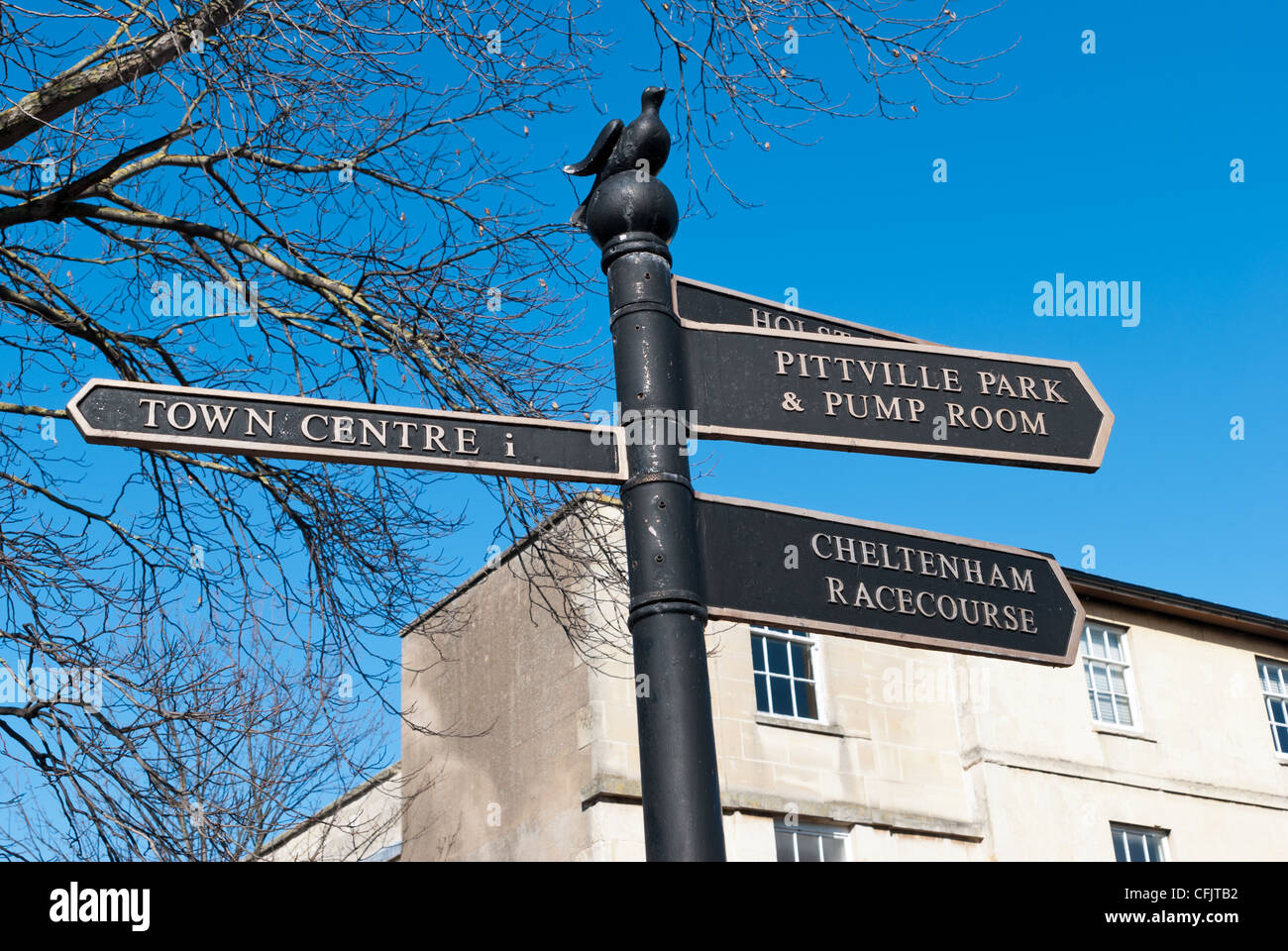 Cheltenham racecourse hi-res stock photography and images - Alamy