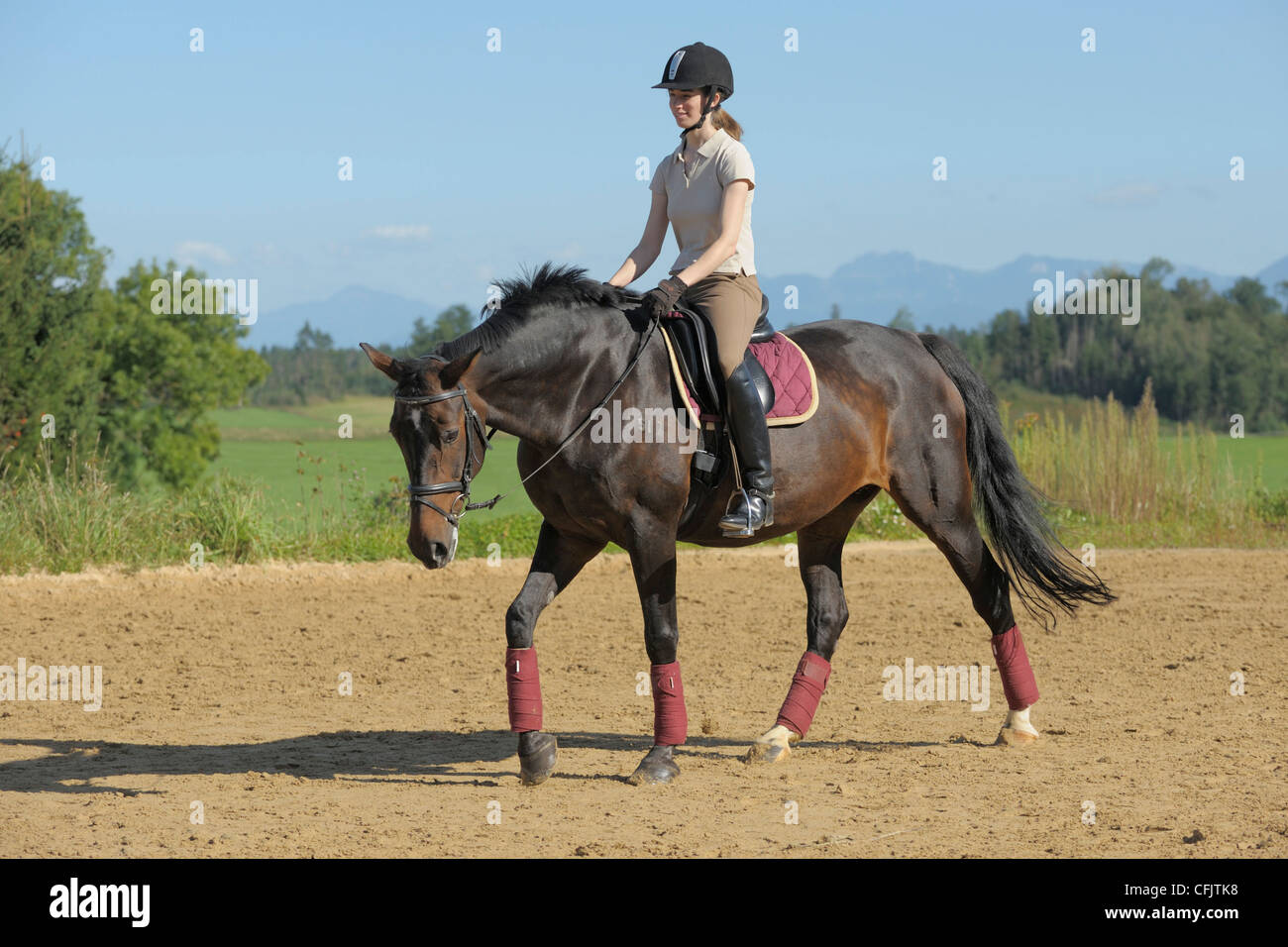 Dressage rider on back of a German horse, walk on a long rein Stock ...