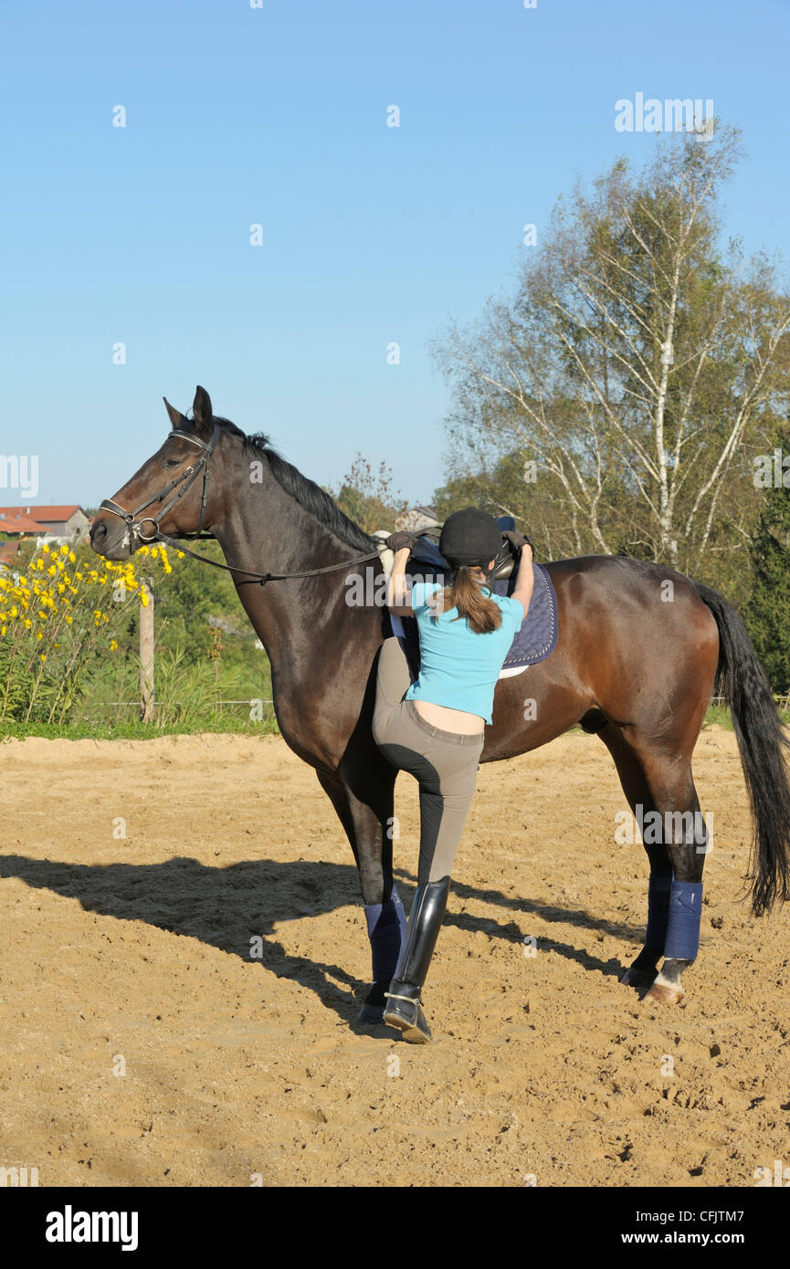Rider mounting horse hi-res stock photography and images - Alamy