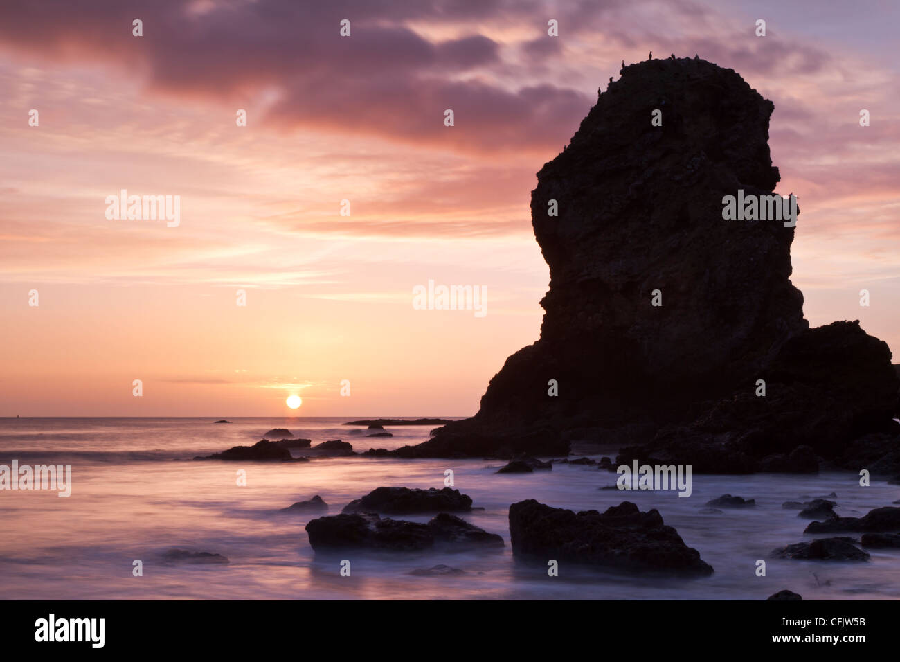 Periclase and Magnesian Limestone sea stack in Marsden Bay near South ...