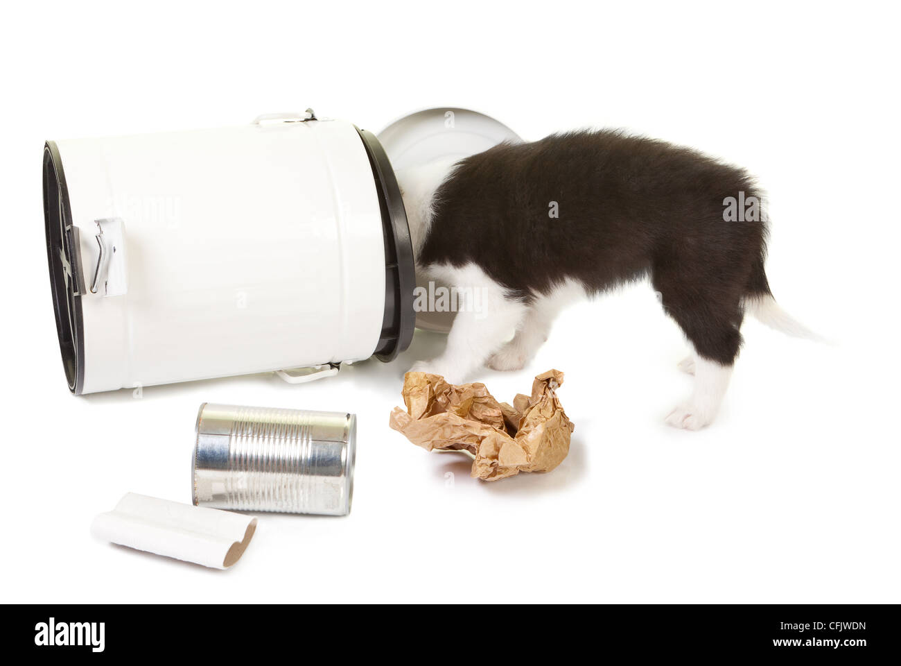 Funny garbage can hi-res stock photography and images - Alamy