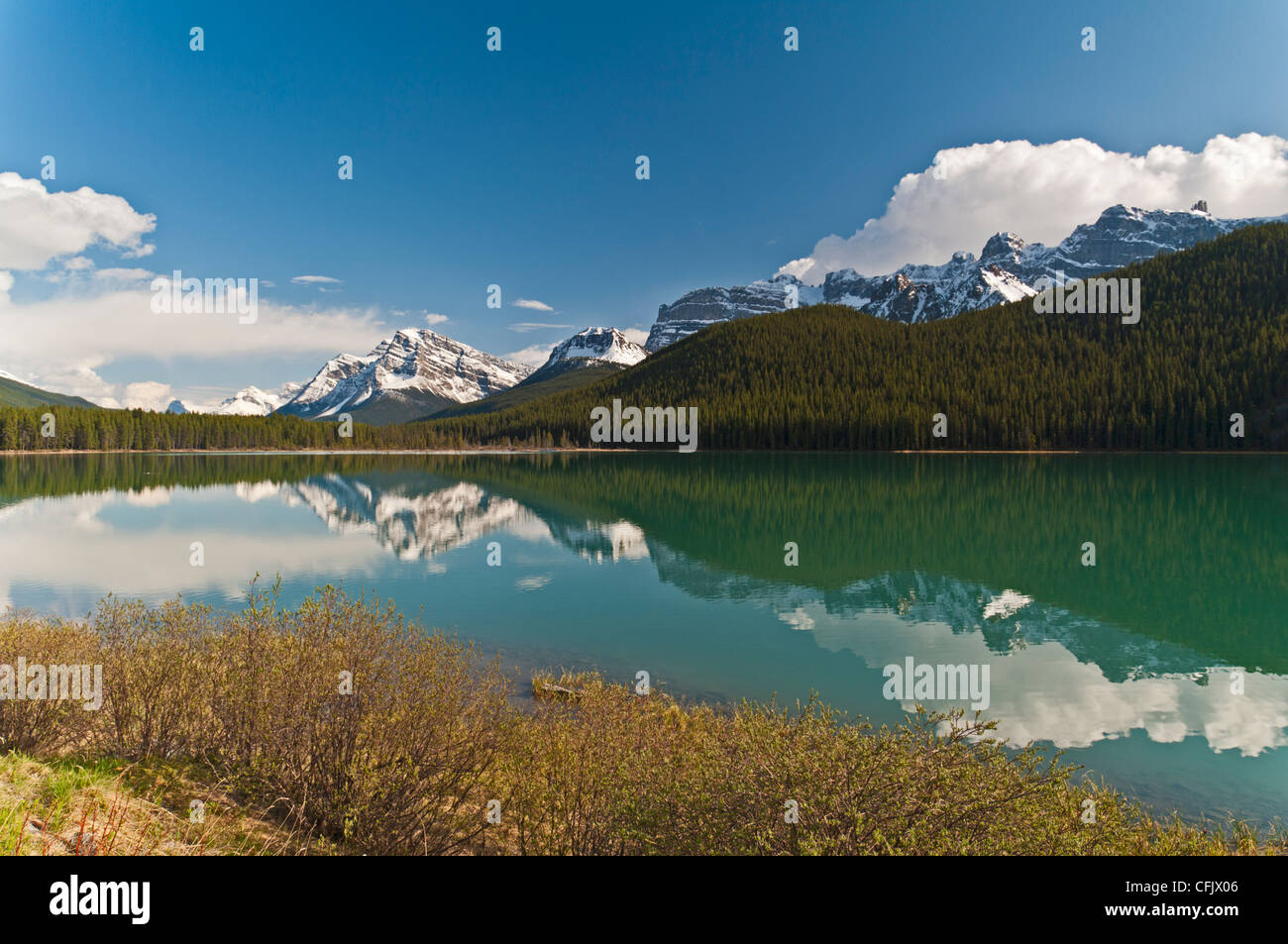 WATERFOWL LAKE, BANFF NATIONAL PARK, CANADIAN ROCKIES, ALBERTA, CANADA ...