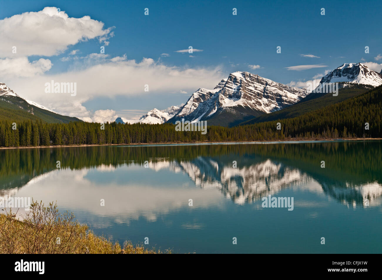 WATERFOWL LAKE, BANFF NATIONAL PARK, CANADIAN ROCKIES, ALBERTA, CANADA ...