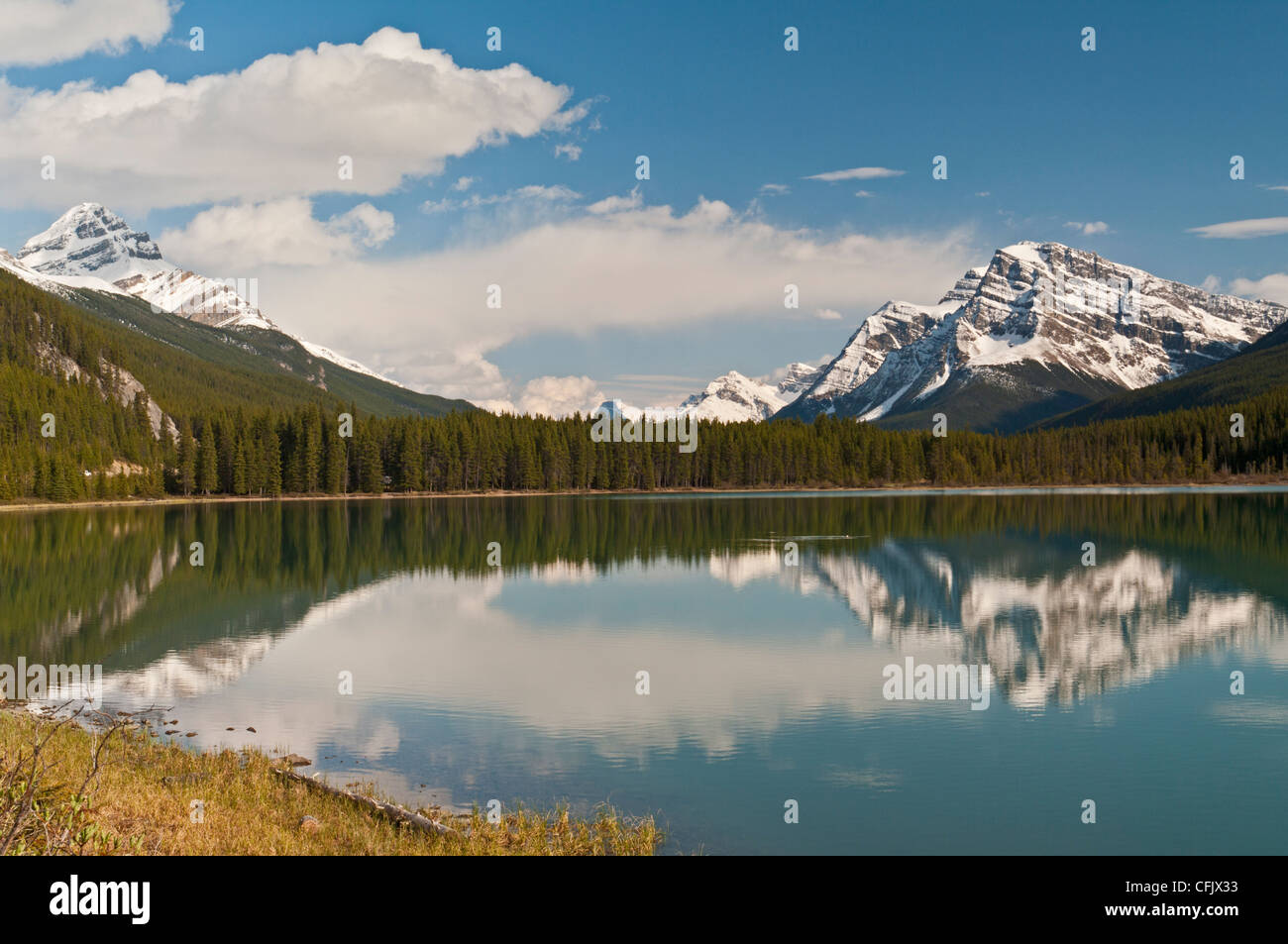 WATERFOWL LAKE, BANFF NATIONAL PARK, CANADIAN ROCKIES, ALBERTA, CANADA ...