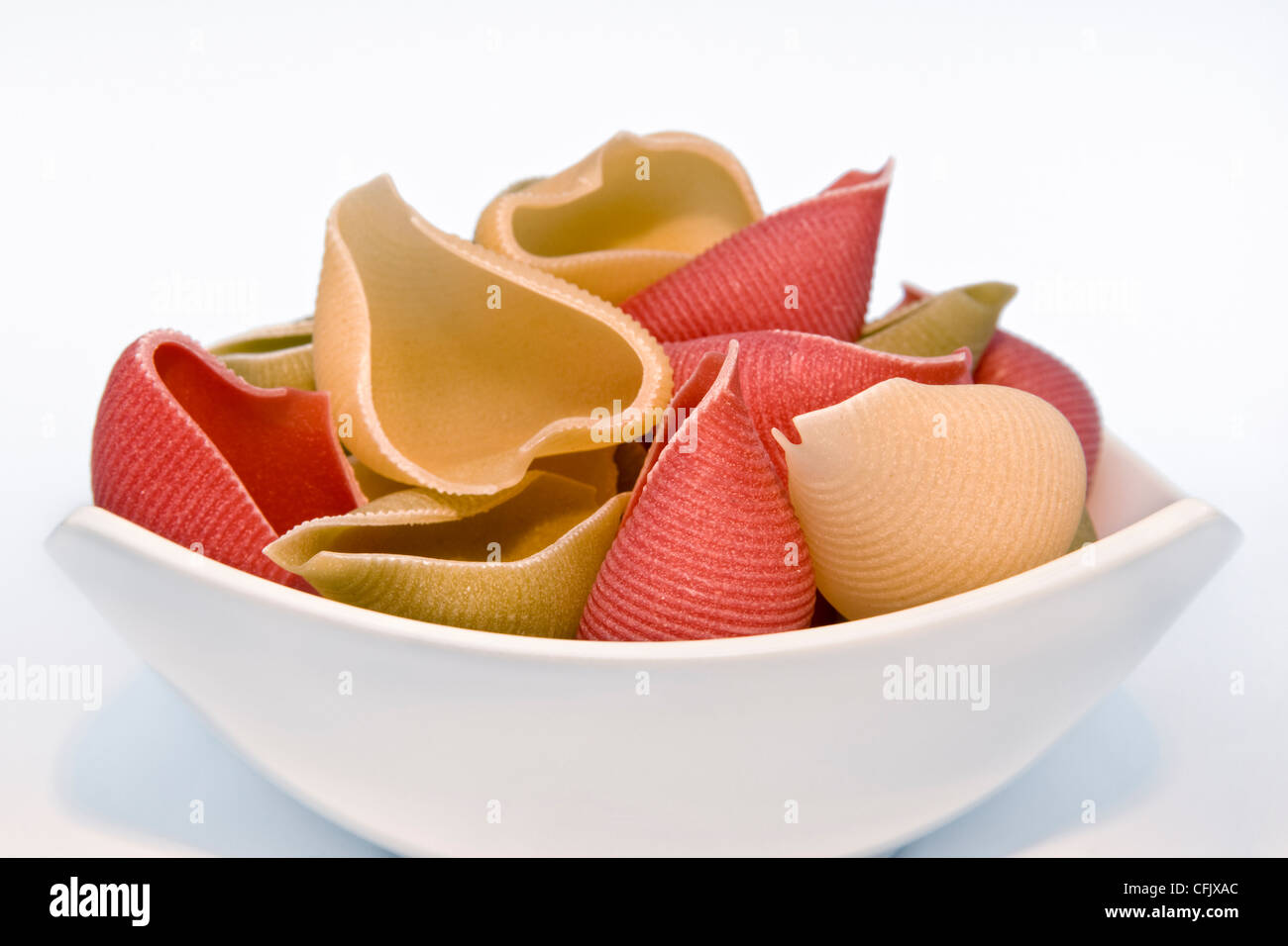 Large dried coloured pasta shells in white bowl against a white ...