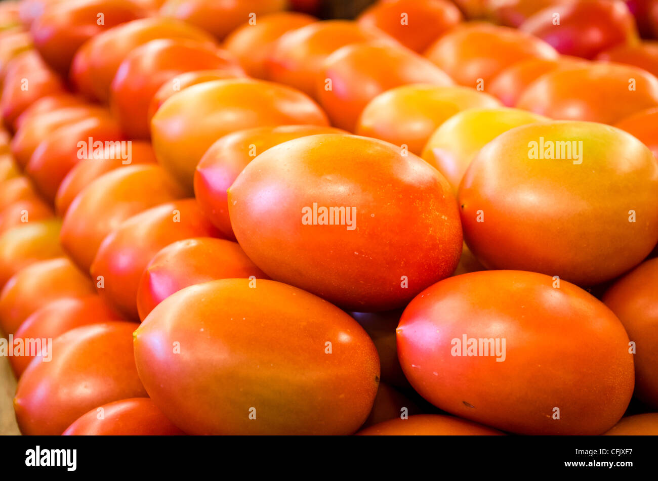 Roma tomatoes hi-res stock photography and images - Alamy