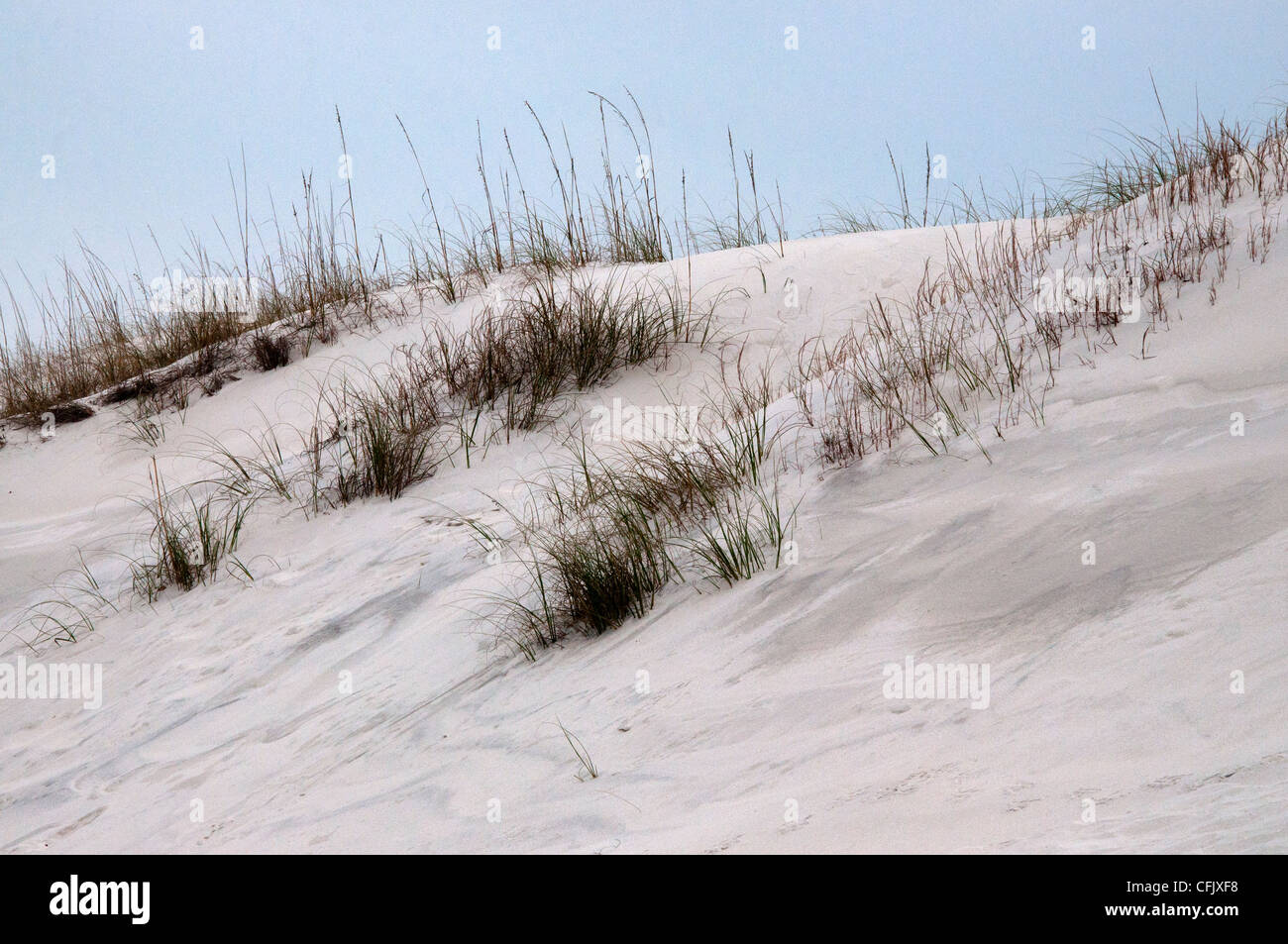 Sand dunes along the Emerald Coast Stock Photo - Alamy