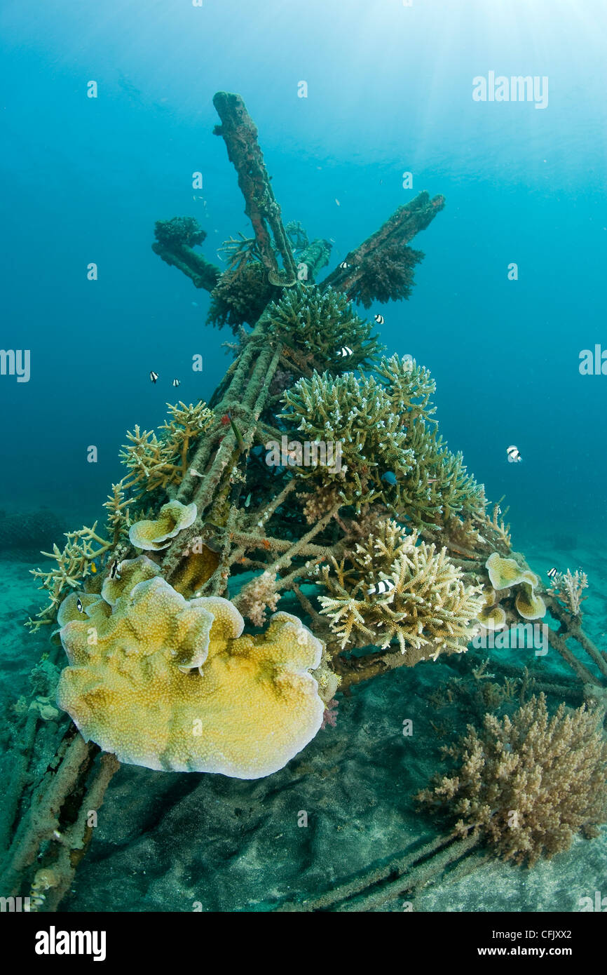 Bio Rock High Resolution Stock Photography and Images - Alamy