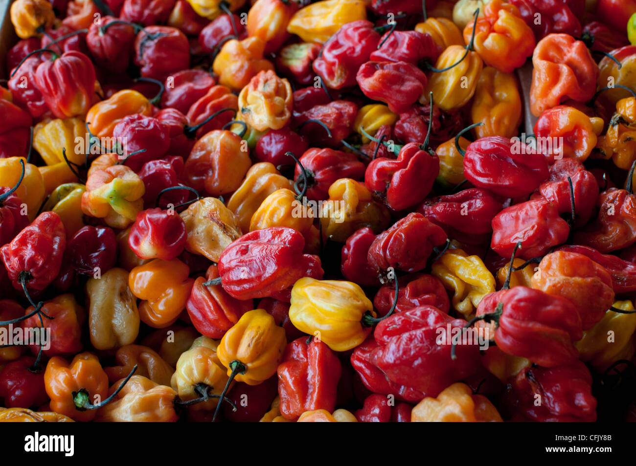 Pile chillies hi-res stock photography and images - Alamy