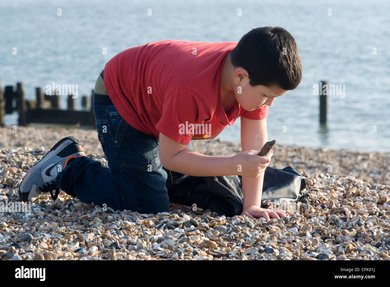 Boy collecting shells hi-res stock photography and images - Alamy