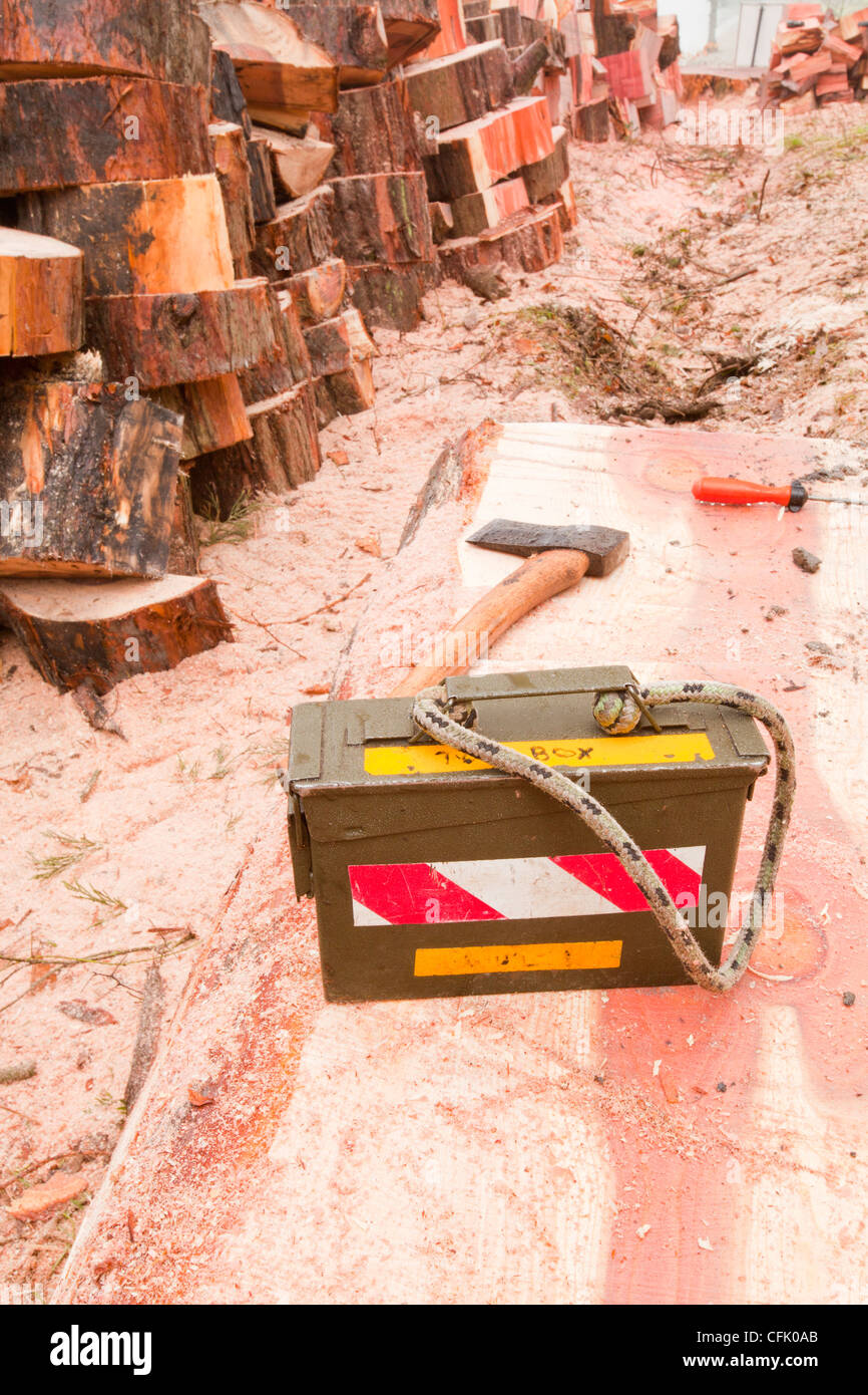 A massive Cedar tree that was infected with honey Fungus is chopped ...
