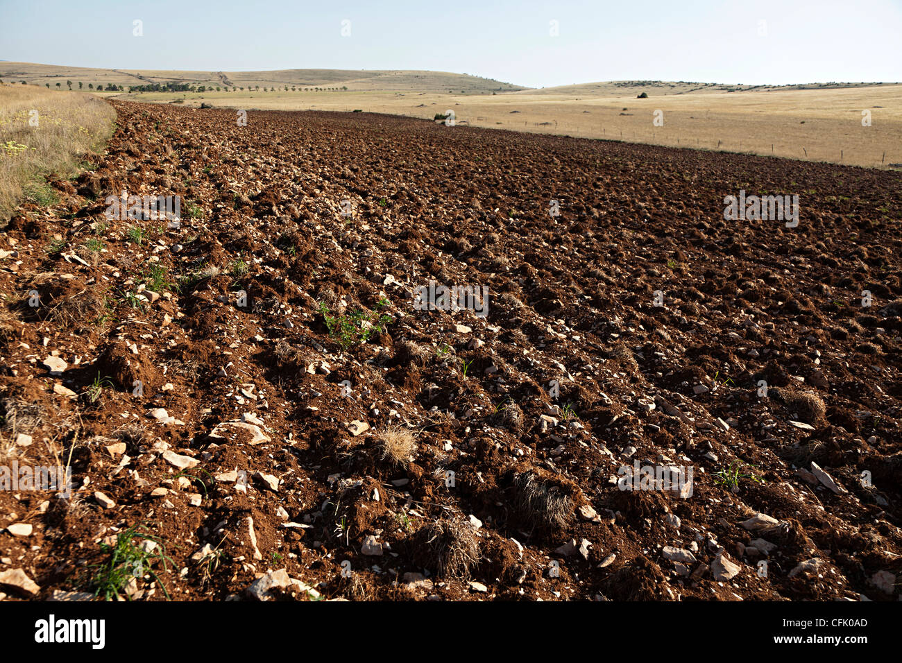 Ploughed land with many rocks on the Causse Mejean limestone plateau ...