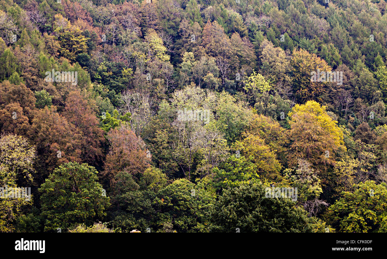 Uk autumn colours hi-res stock photography and images - Alamy