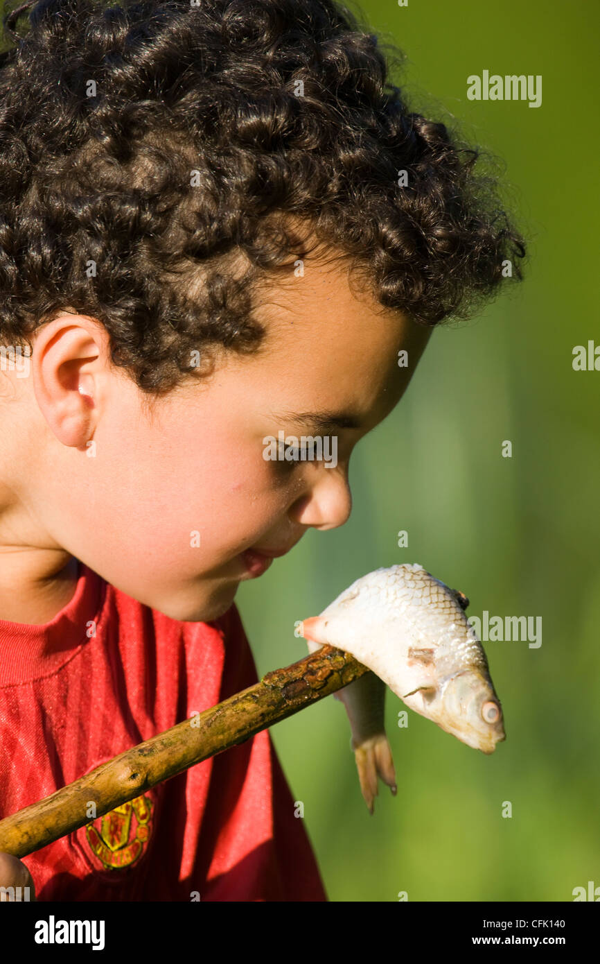 Dead Stick High Resolution Stock Photography and Images - Alamy