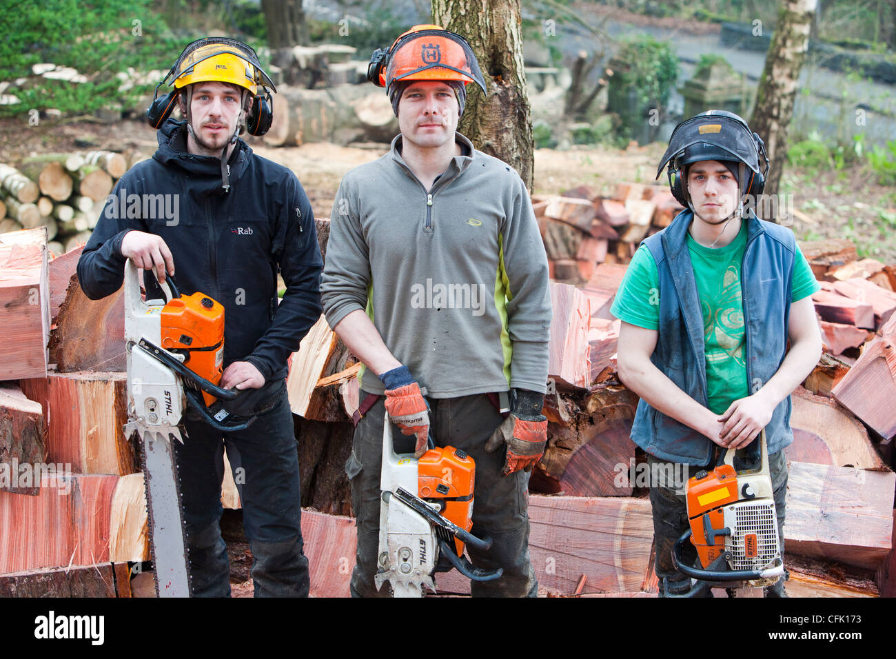 A massive Cedar tree that was infected with honey Fungus is chopped ...