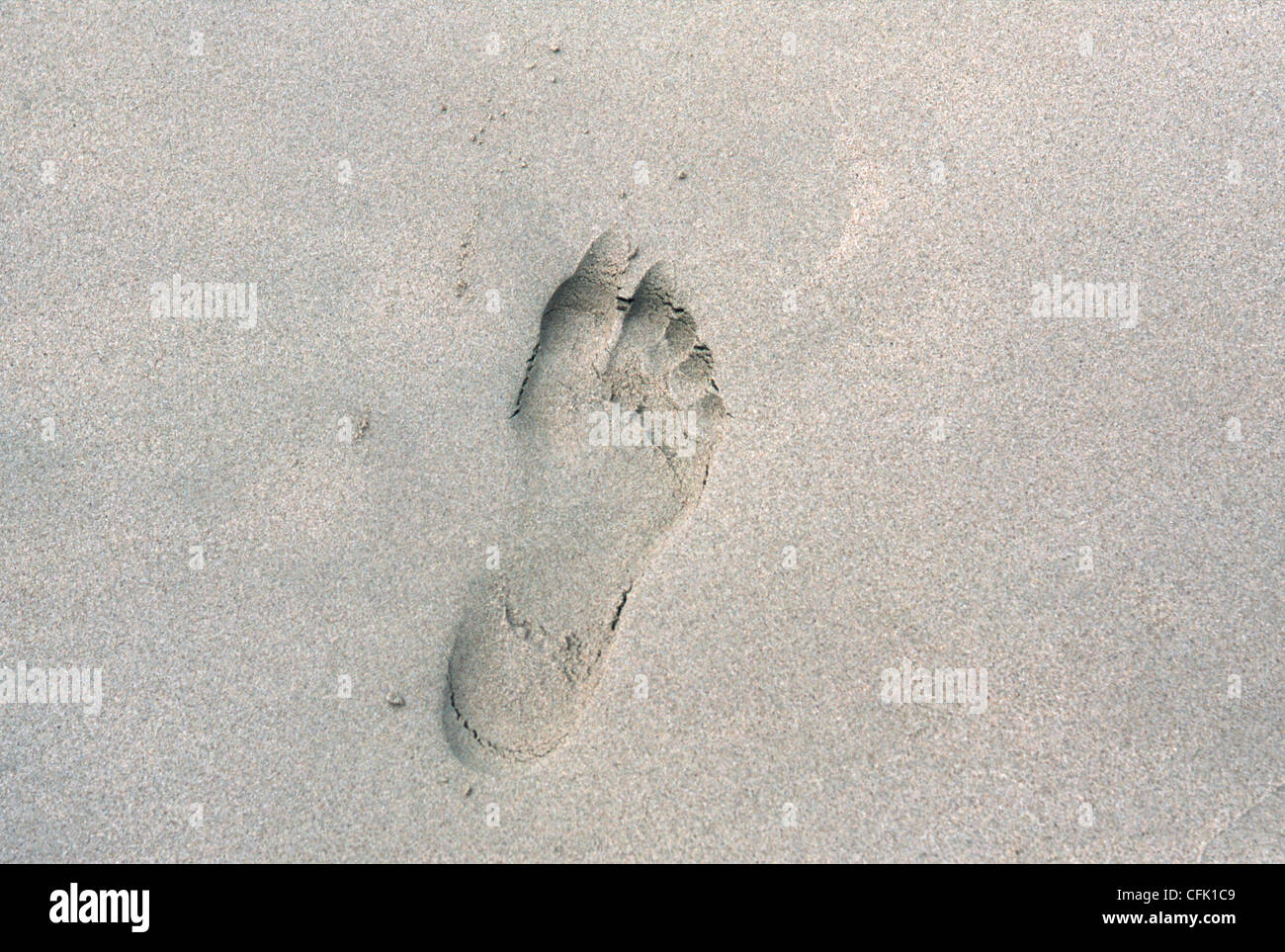 Footprints in the sand Stock Photo - Alamy