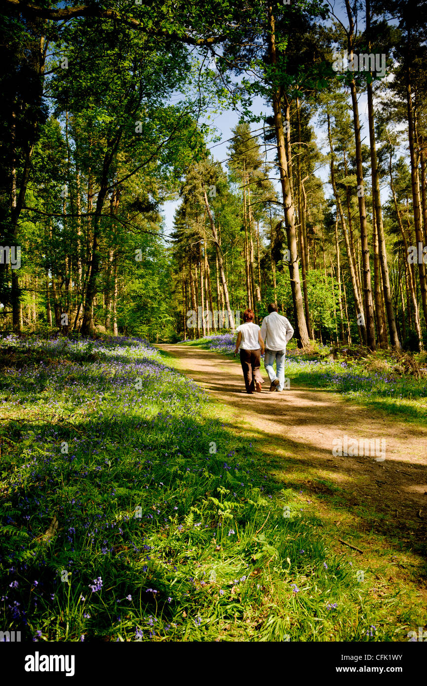 Couple walking on path hi-res stock photography and images - Alamy