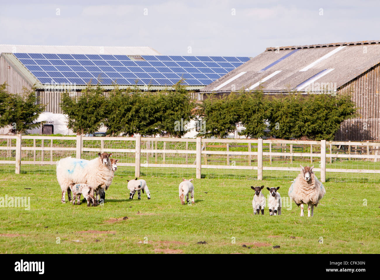 Uk barn solar panel hi-res stock photography and images - Alamy