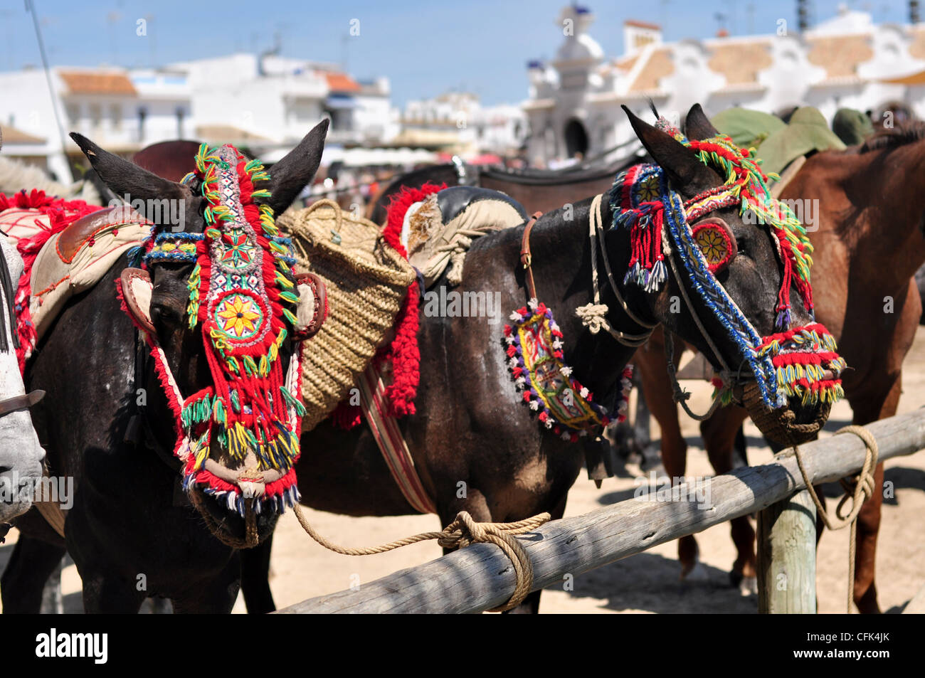 Decorated horse hi-res stock photography and images - Alamy