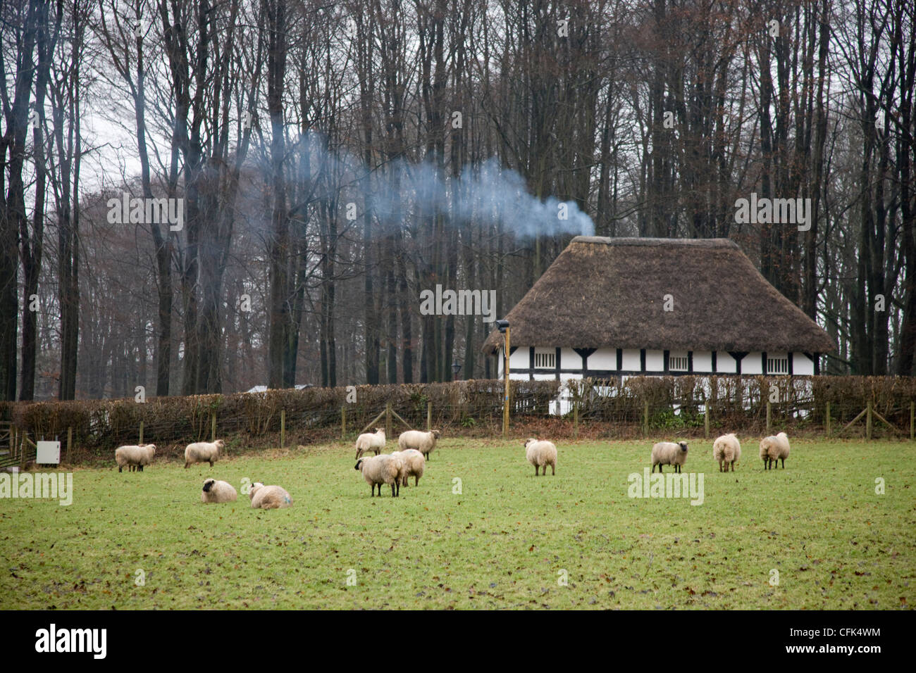 Timber framed house hi-res stock photography and images - Alamy