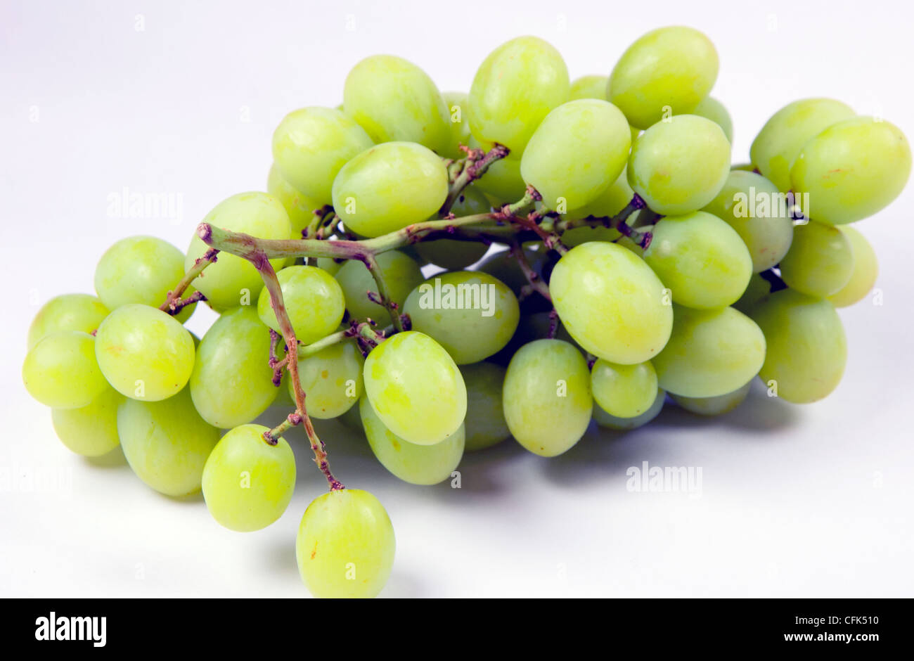 Seedless green grapes hi-res stock photography and images - Alamy Seedless green grapes hi-res stock photography and images - Alamy