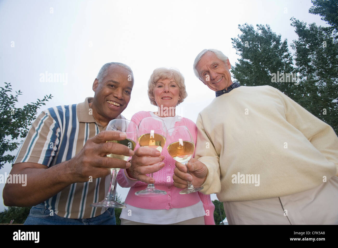 Senior People Making a Toast Stock Photo - Alamy