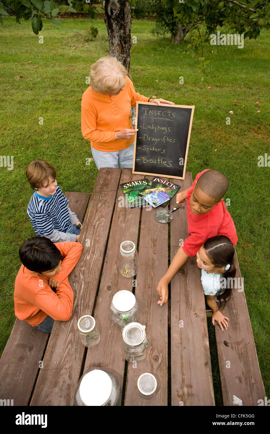 Science Class on Apple Farm Stock Photo - Alamy