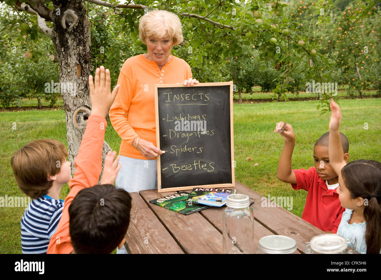 Science Class on Apple Farm Stock Photo - Alamy