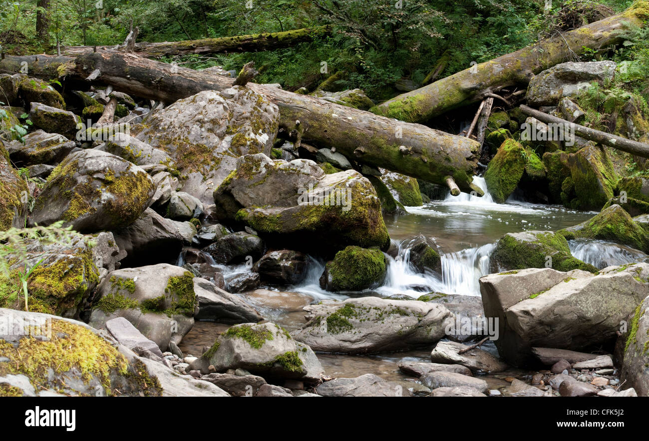 Landscape with rapid river and fallen tree Stock Photo - Alamy