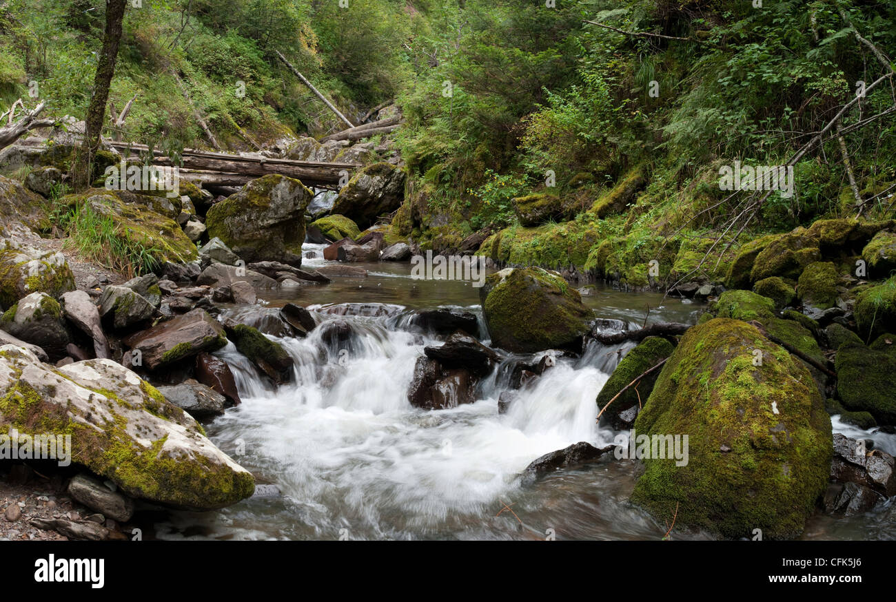 Landscape with rapid river and fallen tree Stock Photo - Alamy
