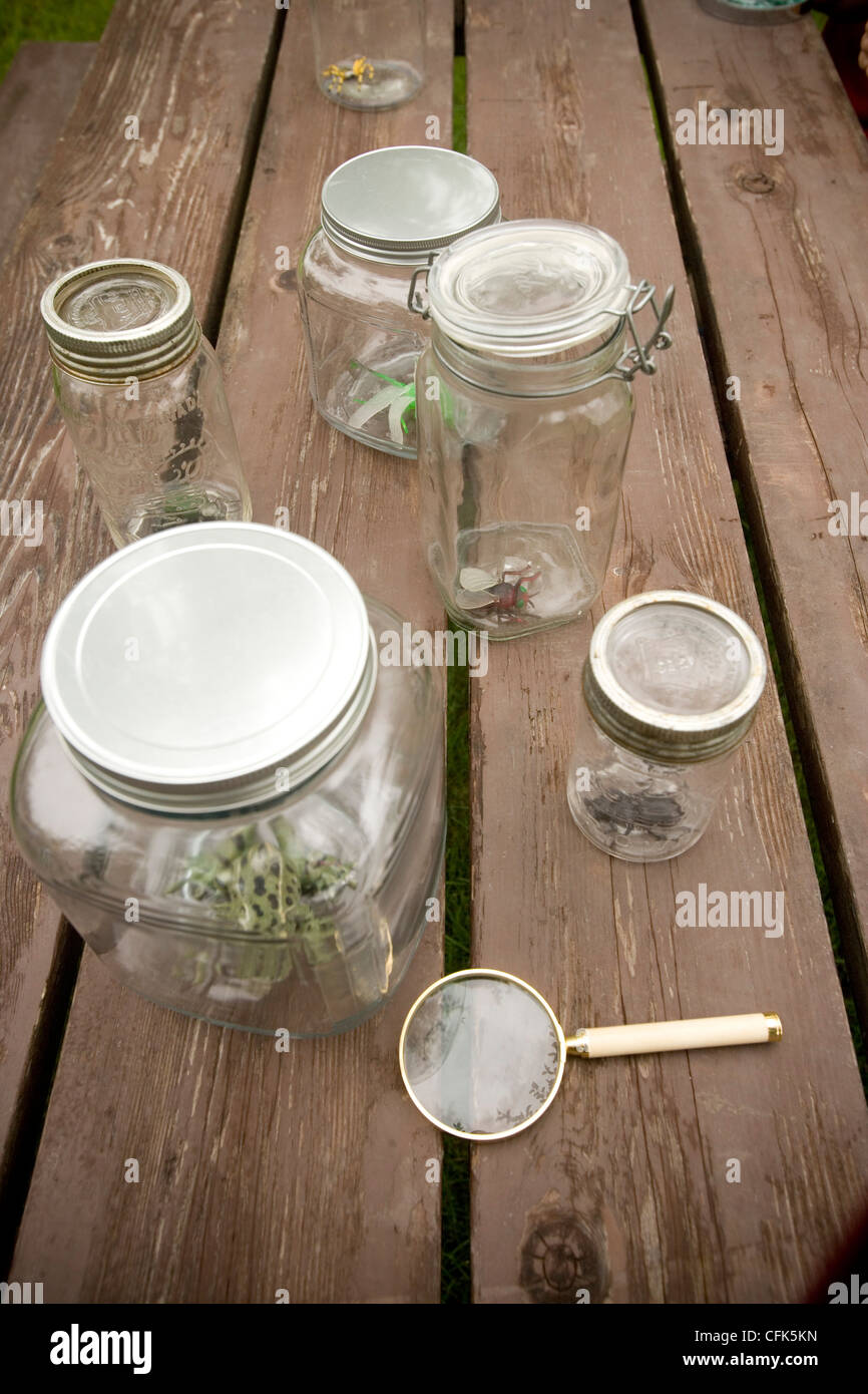 Jars with Insects on Outdoor Table Stock Photo - Alamy