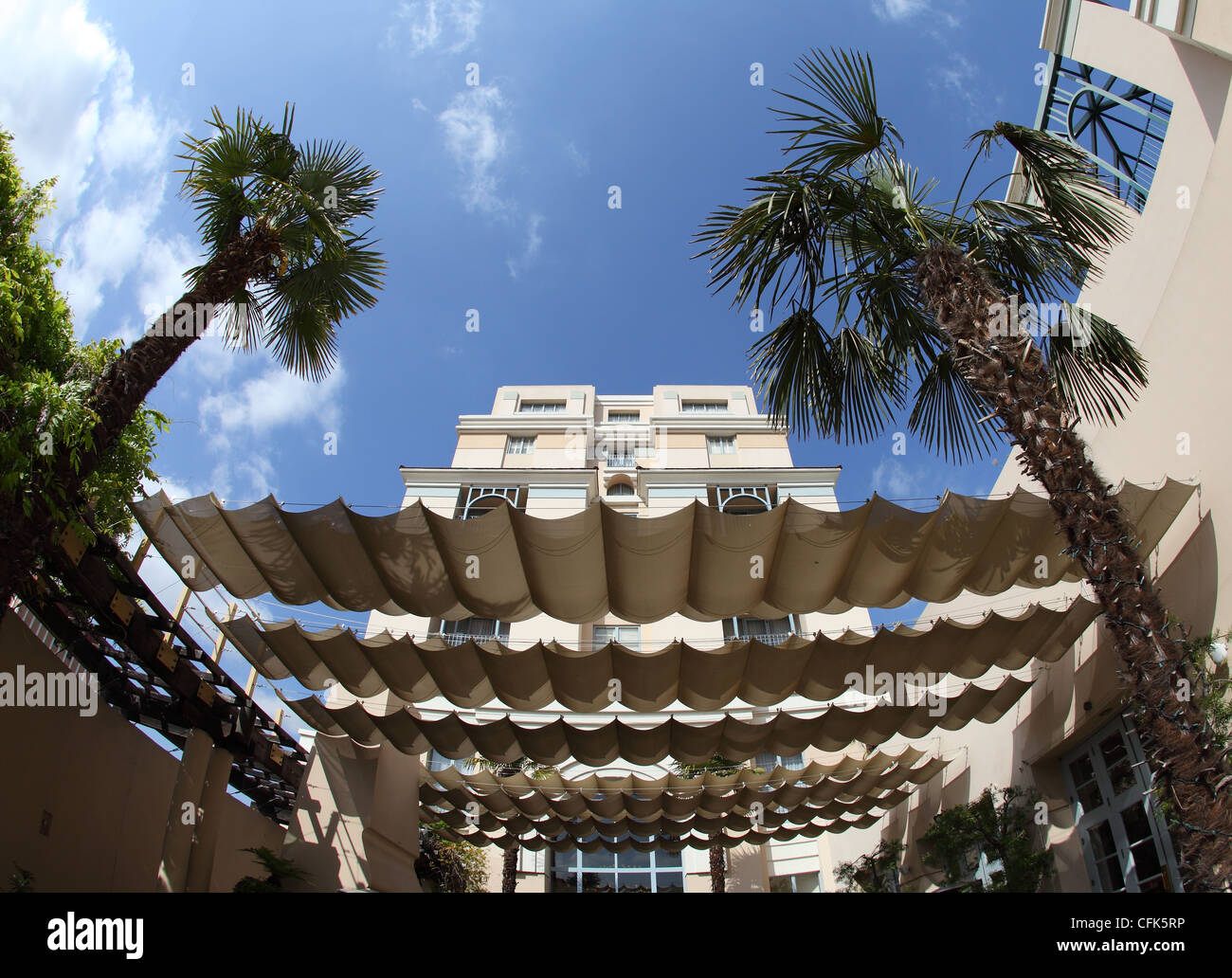 Pasadena palm trees High Resolution Stock Photography and Images - Alamy