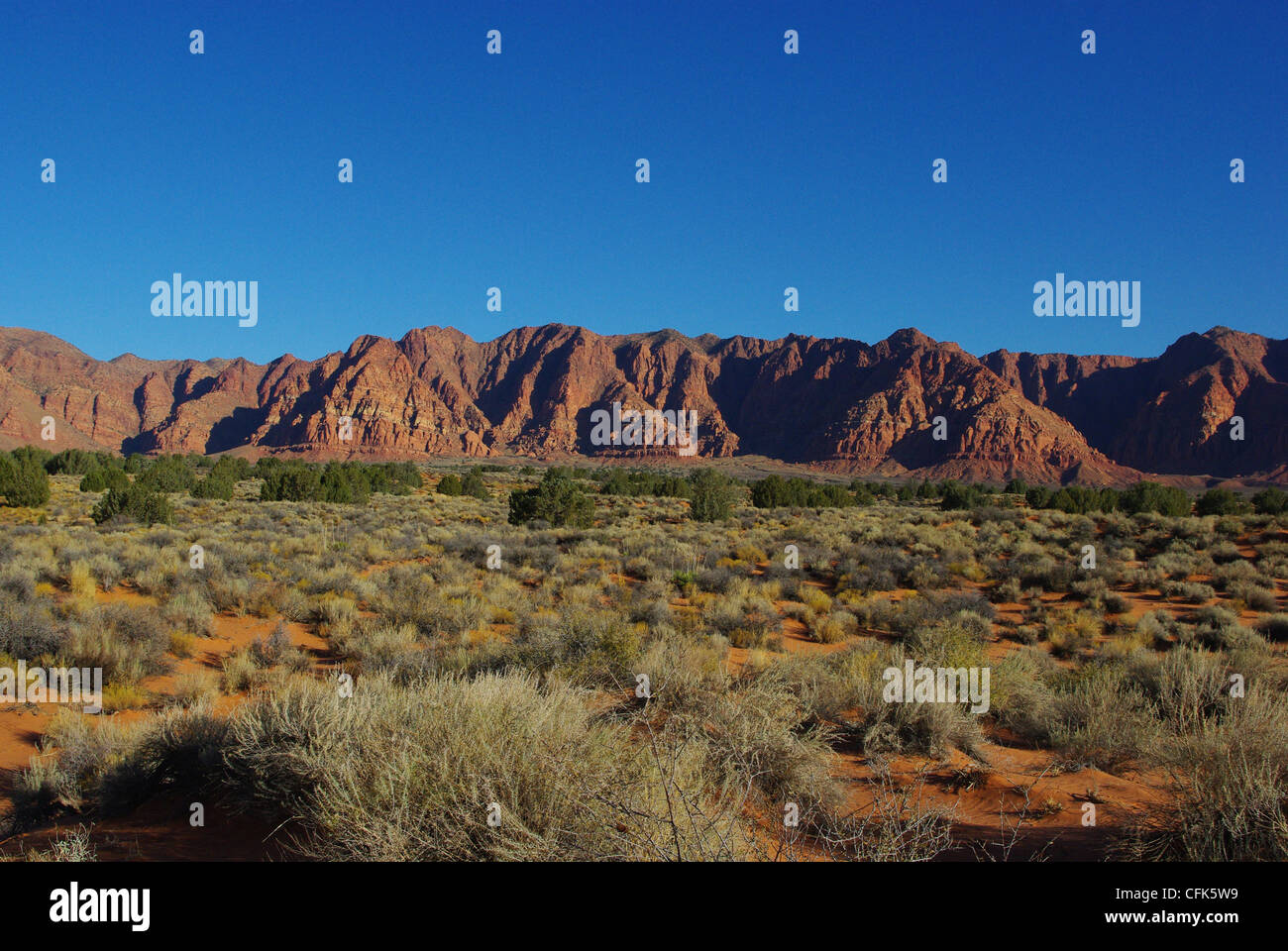 High desert colors in Southern Utah Stock Photo - Alamy
