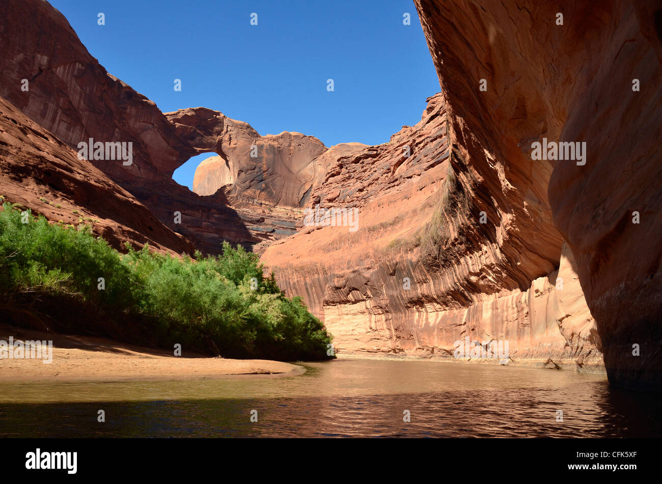Stevens Arch high on wall above Escalante River, Utah Stock Photo - Alamy