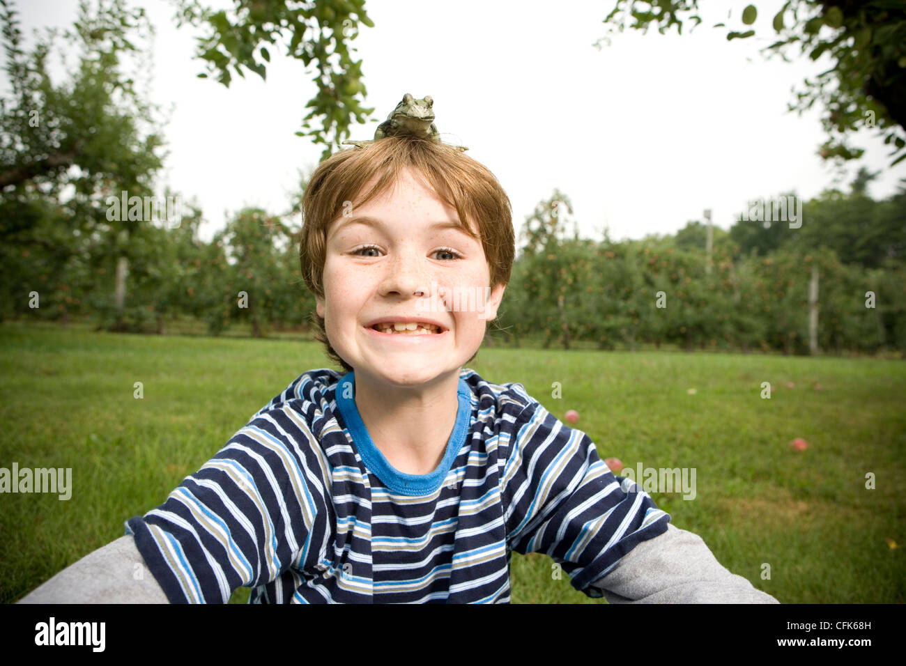 Boy frog on head hi-res stock photography and images - Alamy