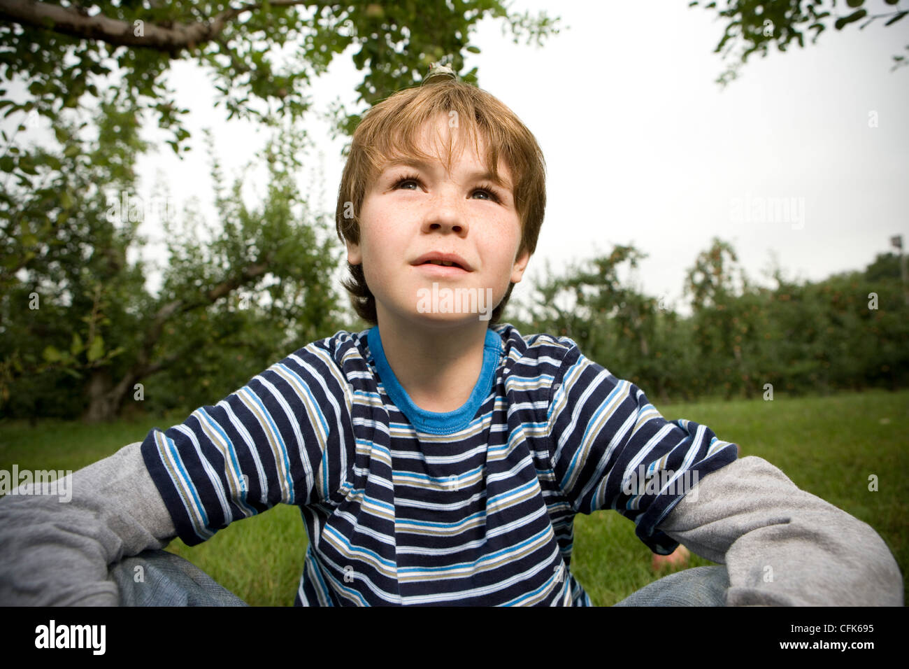 Boy Sitting with Frog on his Head Stock Photo - Alamy