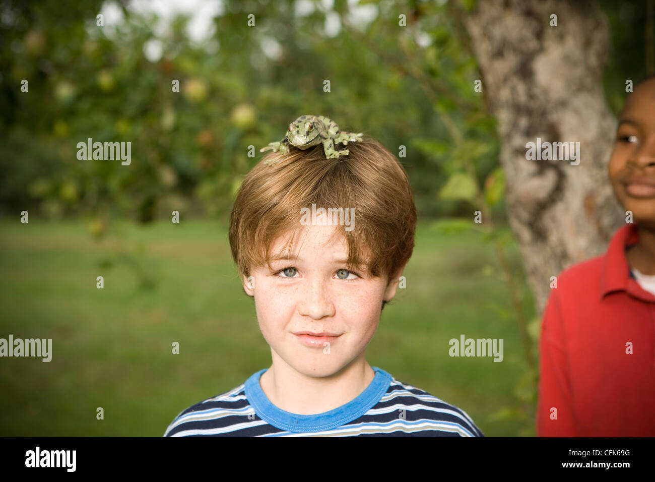 Boy with a Frog on his Head Stock Photo - Alamy