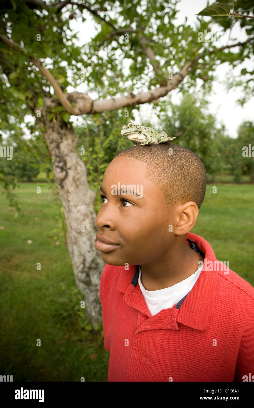 Boy frog on head hi-res stock photography and images - Alamy