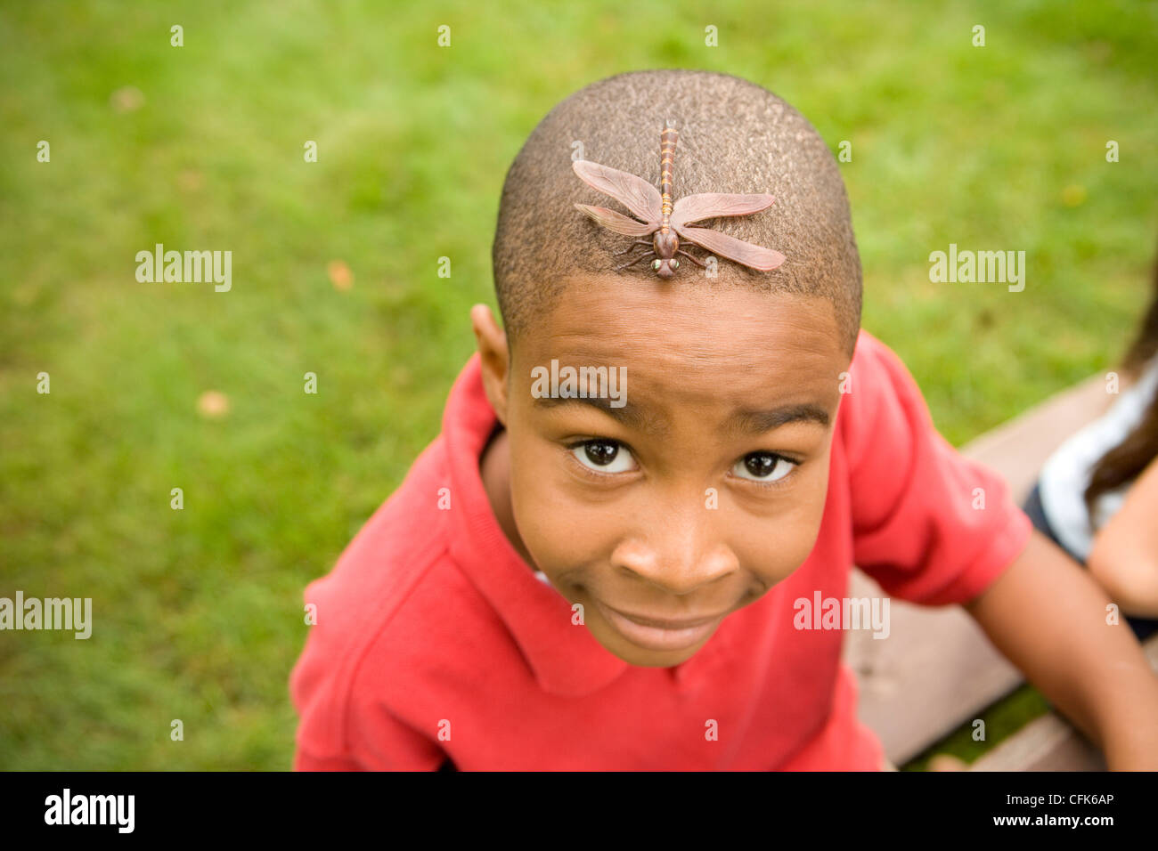 Boy with Insect on his Head Stock Photo - Alamy