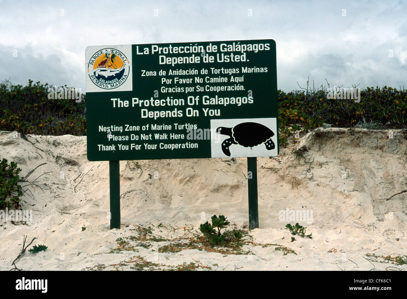 A sign with information to visitors to protect turtles Stock Photo - Alamy