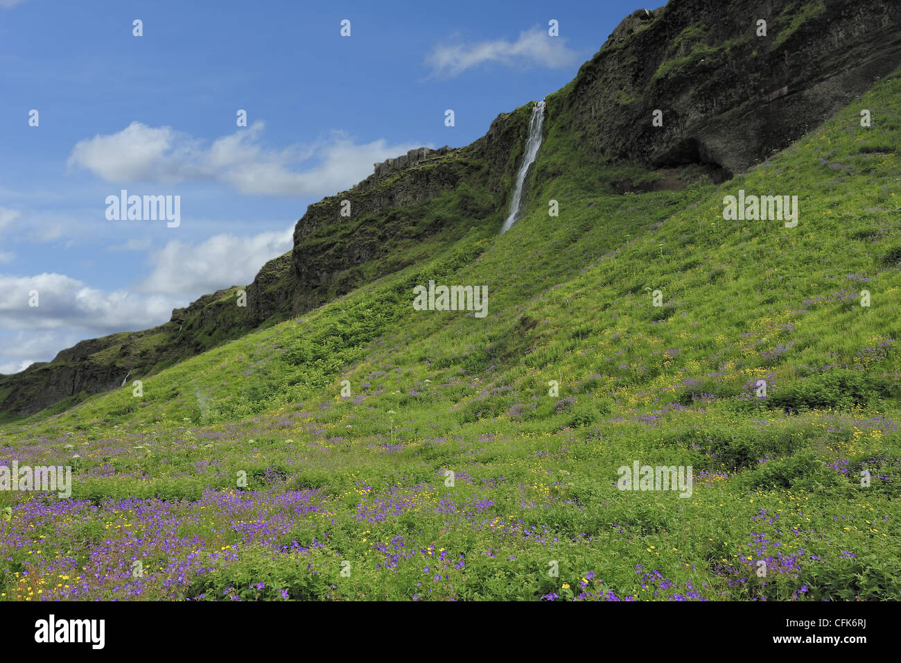 fall of hill near waterfall Skogafoss, Iceland Stock Photo - Alamy