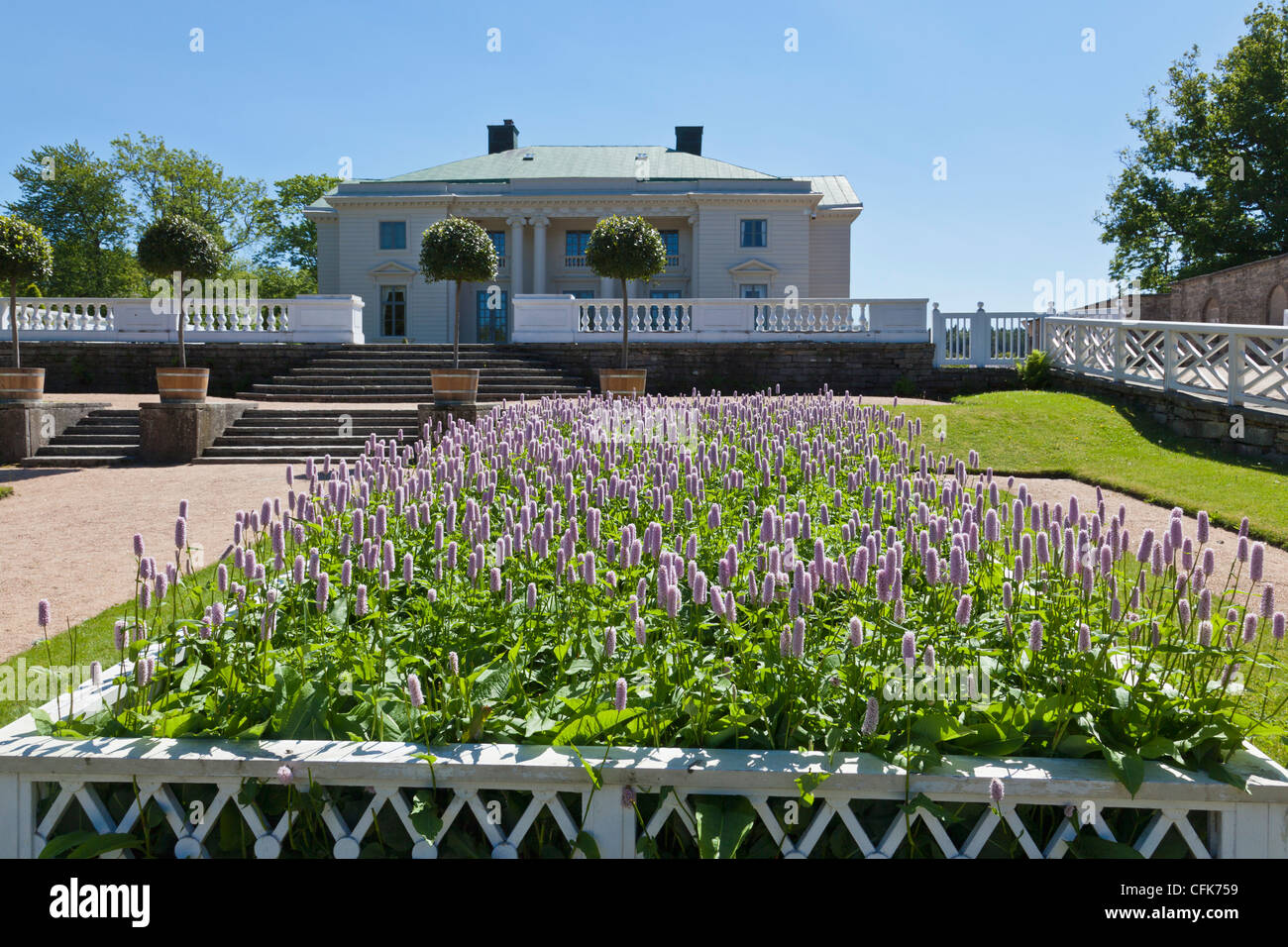 Gunnebo castle garden with Common Bistort in a flowerbed, In Mondal ...