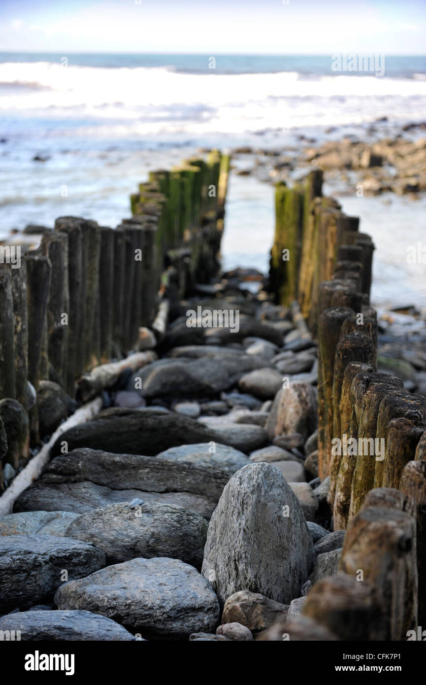 Groin hi-res stock photography and images - Alamy