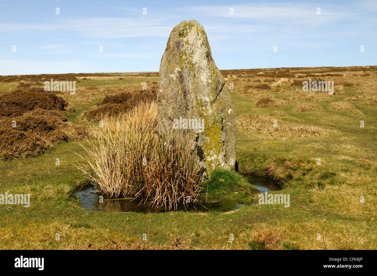 Waun Mawn standing stone menhir Preseli Hills near Fishguard Preseli ...